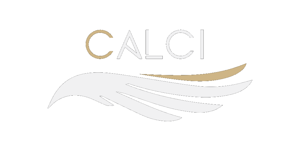 CALCI - oficjalna strona sklepu / męskie okulary oraz biżuteria